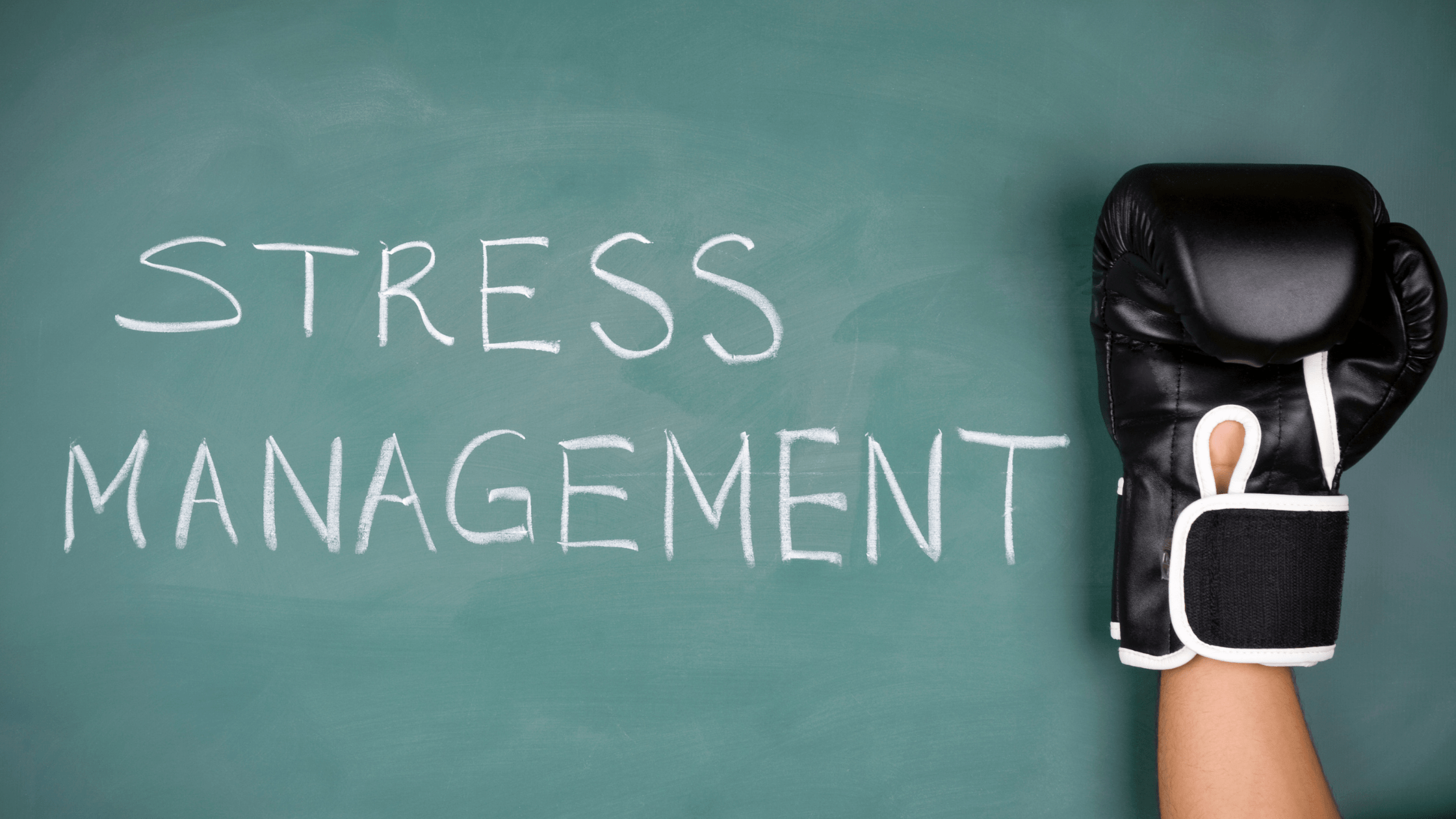 The Best Ways To Combat Stress | Blog | DeCare